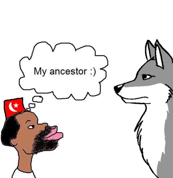 Grey Wolves | My Ancestor :) | Know Your Meme
