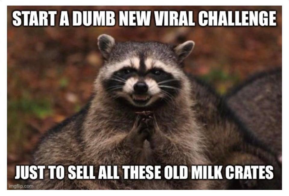 Someone's Making Money from This | Advice Animals | Know Your Meme