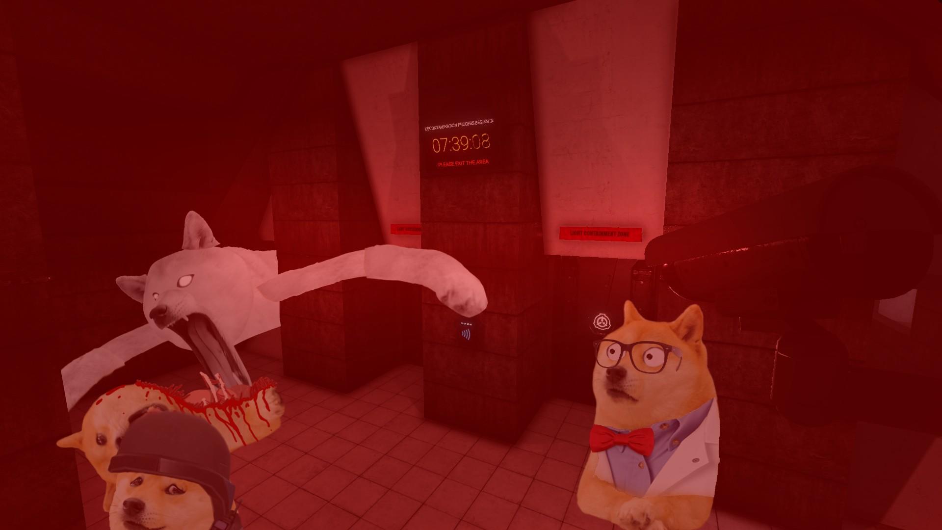 a small concept or something, i don't know what to use with it. (scp ...