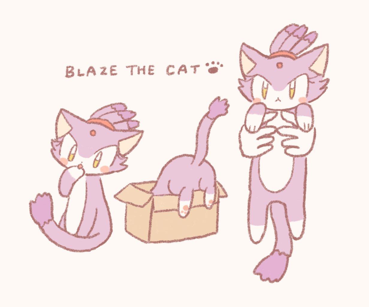 Kitty Cat Blaze | Blaze the Cat | Know Your Meme