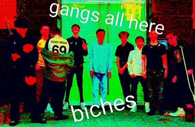 gangs all here | 4Chan /fa/ Meetup | Know Your Meme