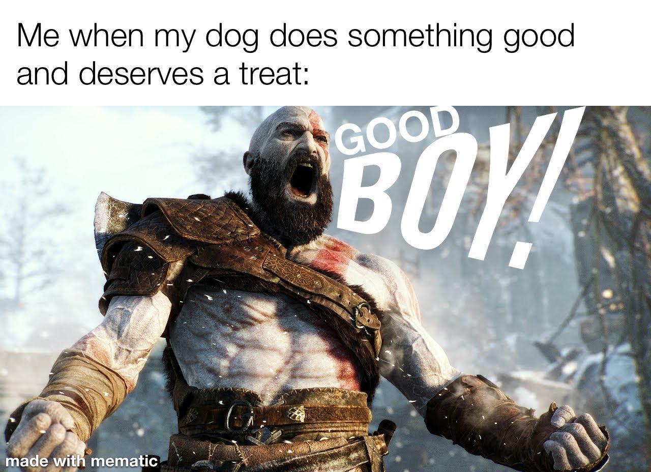 Proud animal parent moments | /r/wholesomememes | Wholesome Memes ...