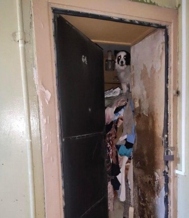 Cursed_Neighbor | Cursed Images | Know Your Meme