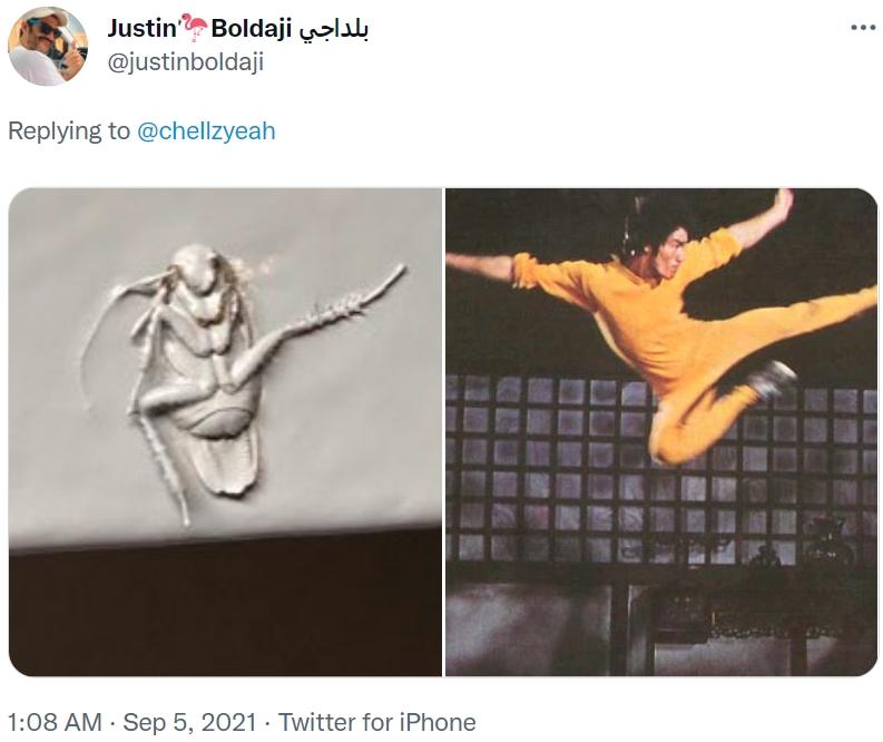 Bruce Lee vs. Painted Cockroach | Painted-Over Cockroach | Know Your Meme