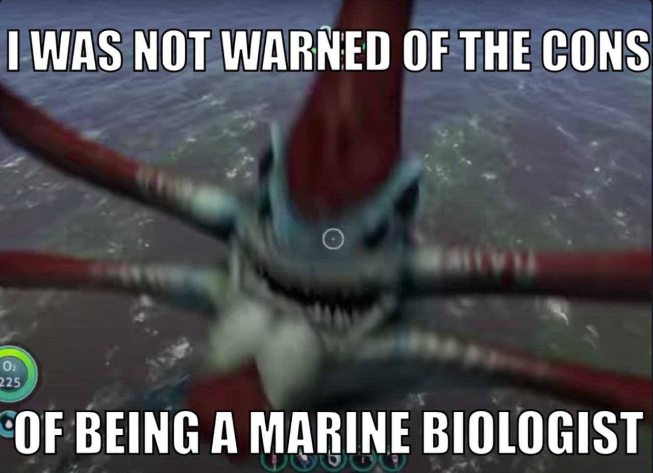 I was not warned of the cons | There Are Many Benefits To Being A ...