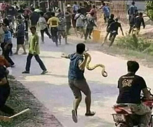 A Candid Shot of a Guy About to Hurl a Snake at Someone | WTF | Know ...