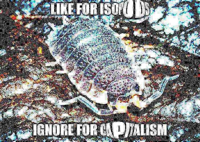 Save the Isopods | Deep Fried Memes | Know Your Meme