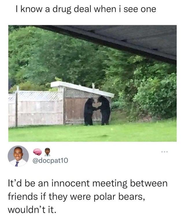 Bears | Know Your Meme