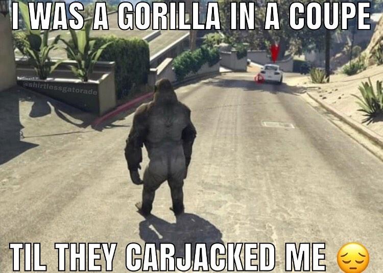 gorilla in coupe got carjacked | Gorilla In A Fucking Coupe | Know Your ...