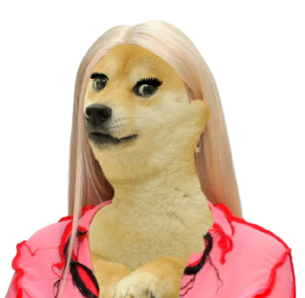 Le Doje Cat has arrived (might do more musicians if this is recieved ...