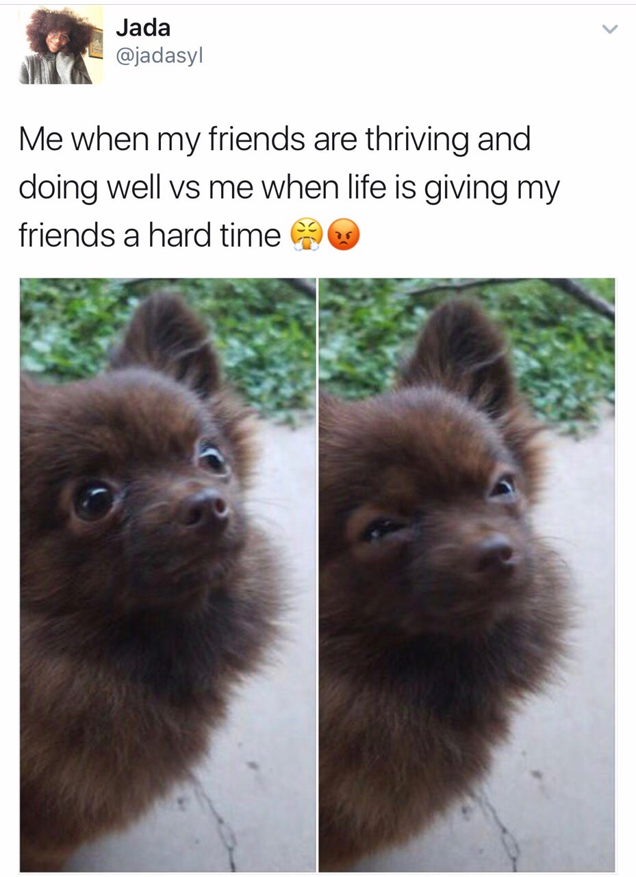 Don't mess with my friends! | /r/wholesomememes | Wholesome Memes ...