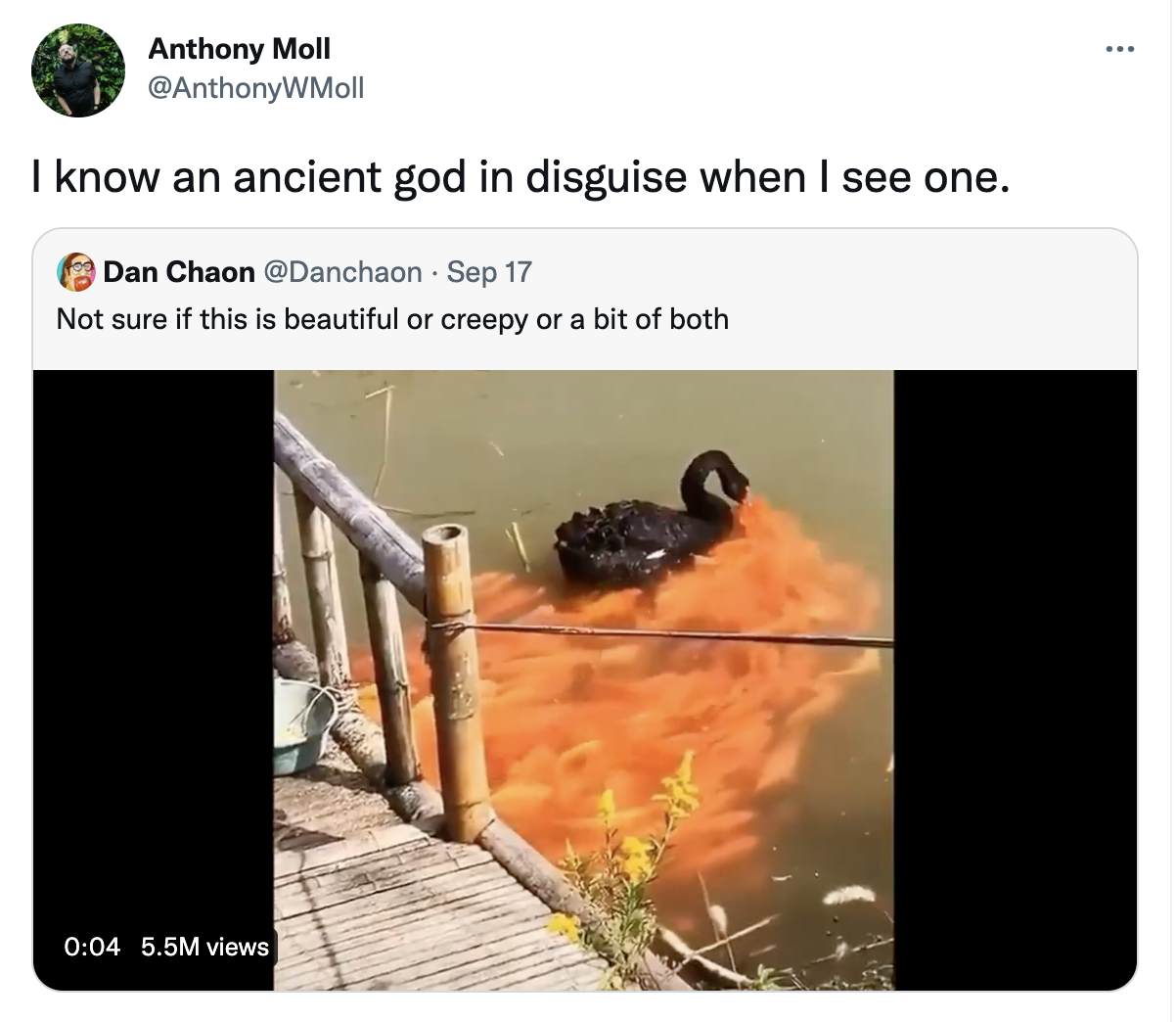 i know an ancient god | Weird Twitter | Know Your Meme