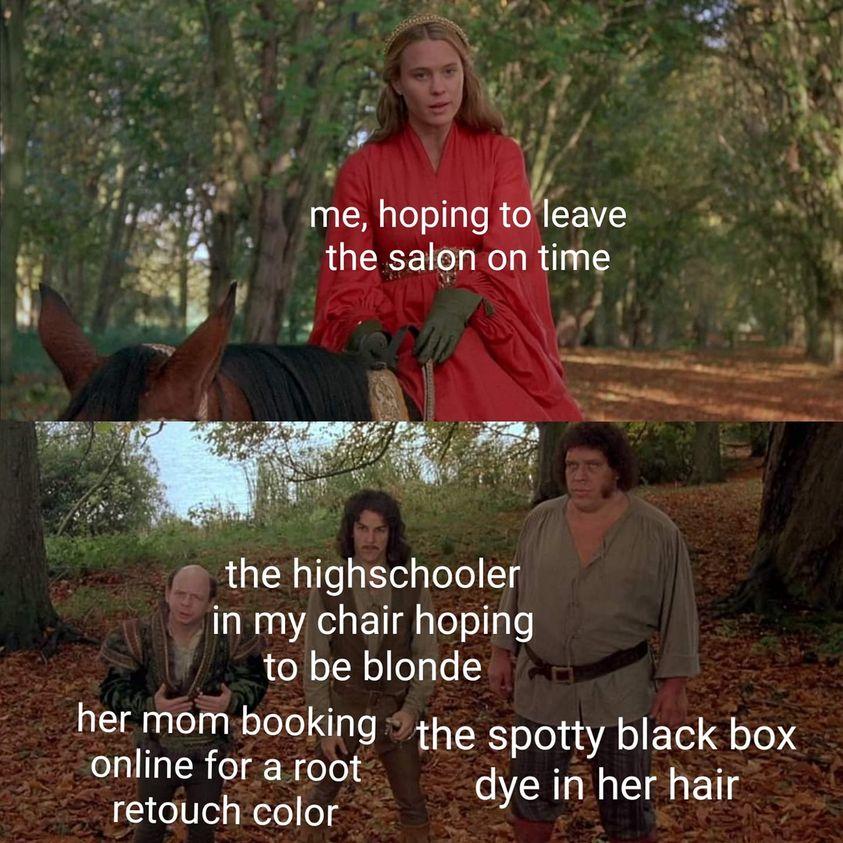Salon Trouble | The Princess Bride | Know Your Meme