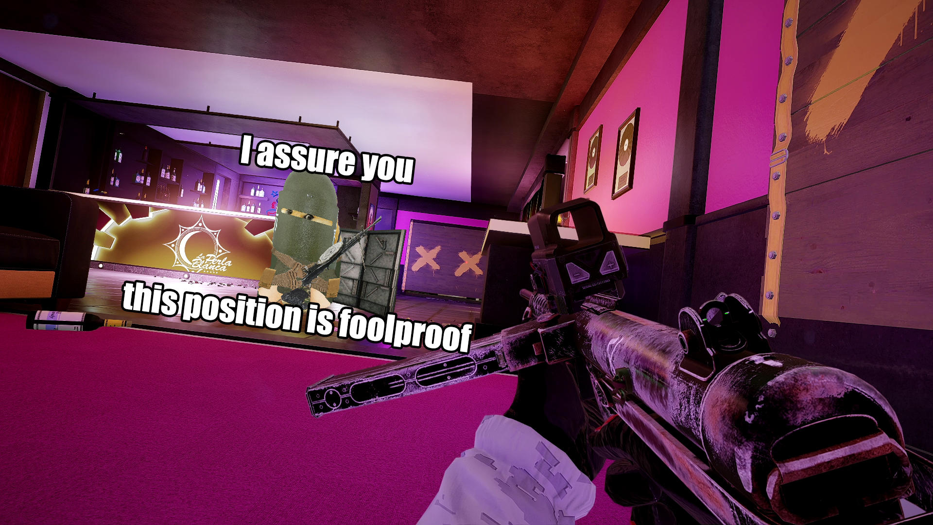 I assure you frost, this position is foolproof. | /r/dogelore | Ironic ...