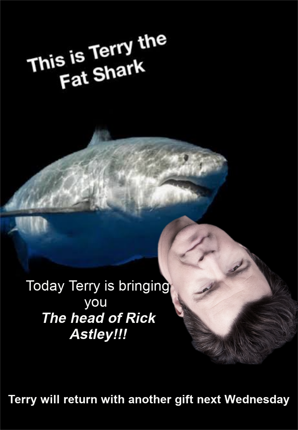 Rick Astley | Terry The Fat Shark | Know Your Meme