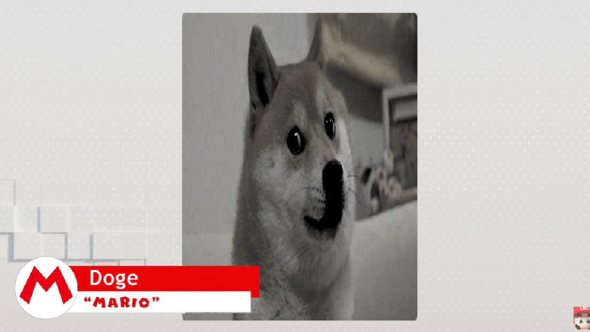 Doge as Mario in Super Mario (The Movie) (Real) (Not fake) | /r ...