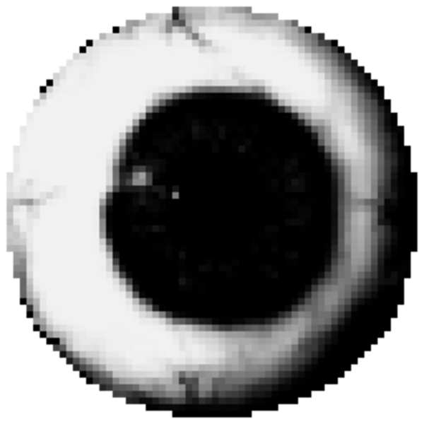 prunsel png | Prunsel | Know Your Meme