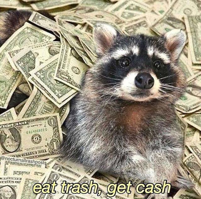 Business Is Boomin' | Animals | Know Your Meme