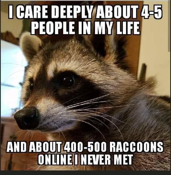 The Truth | Animals | Know Your Meme