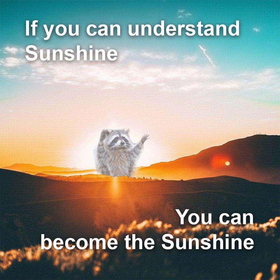 Sunshine | Animals | Know Your Meme