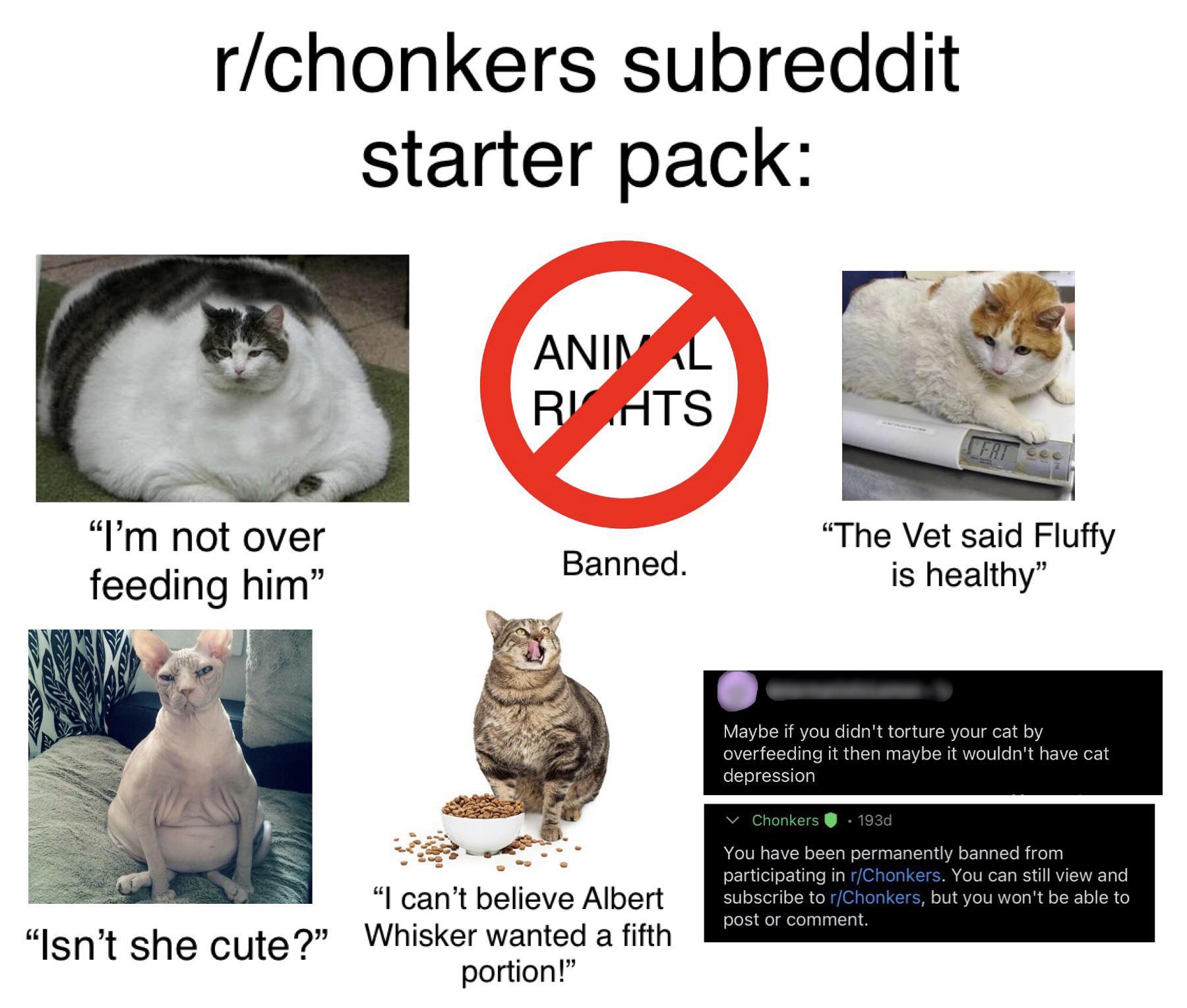 r/chonkers subreddit starter pack: | /r/starterpacks | Starter Packs ...
