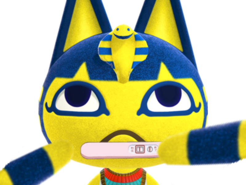 I should've thought twice before my last visit with Ankha ...