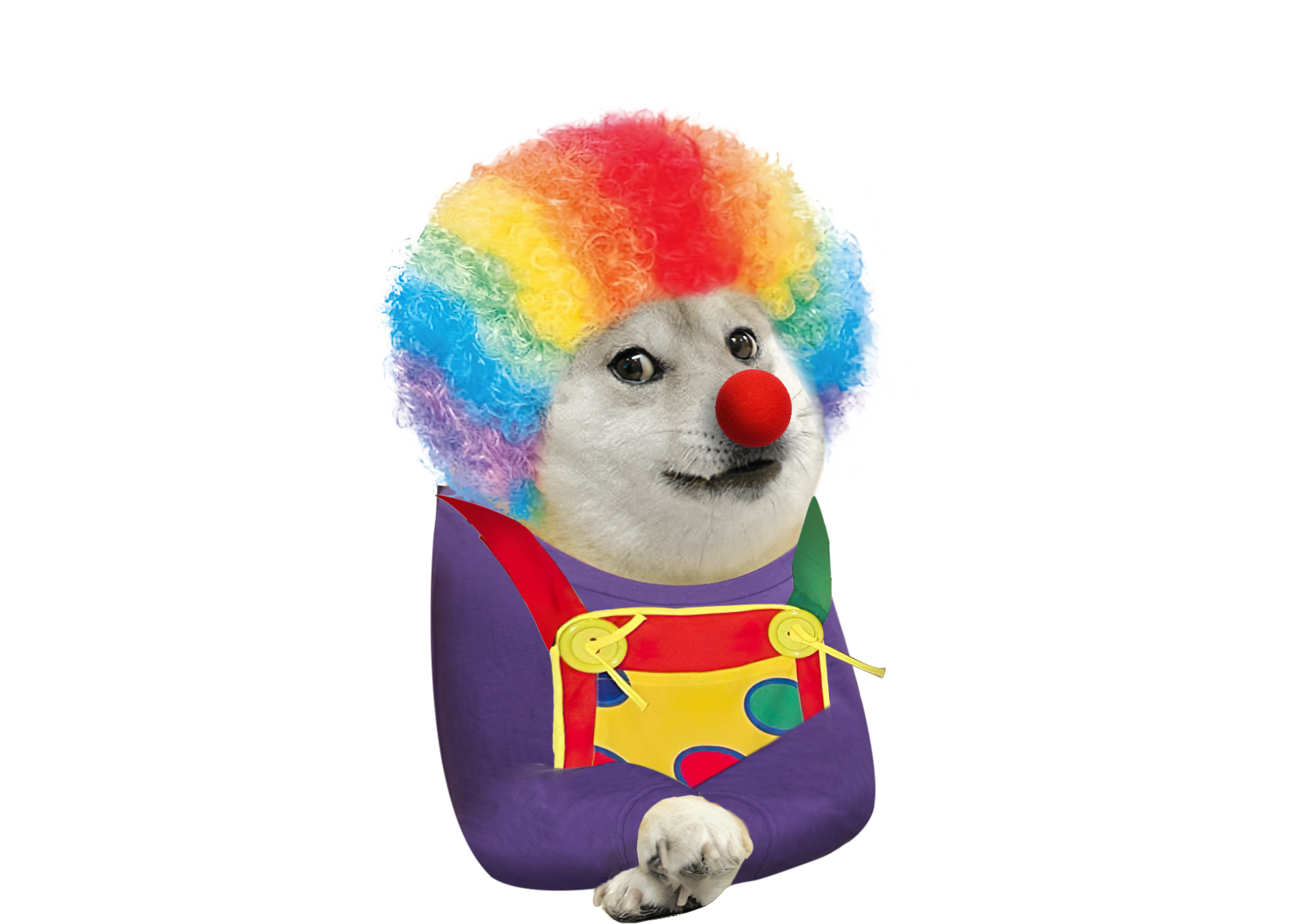 Le Clown has arrived | /r/dogelore | Ironic Doge Memes | Know Your Meme