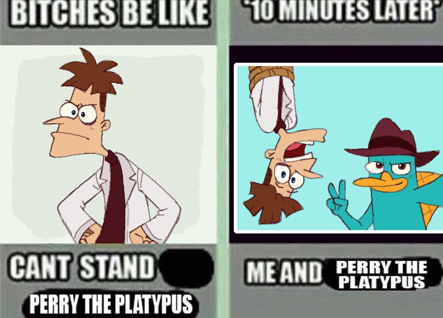 can't stand perry the platypus | 10 Minutes Later: "Me and the Bestie ...
