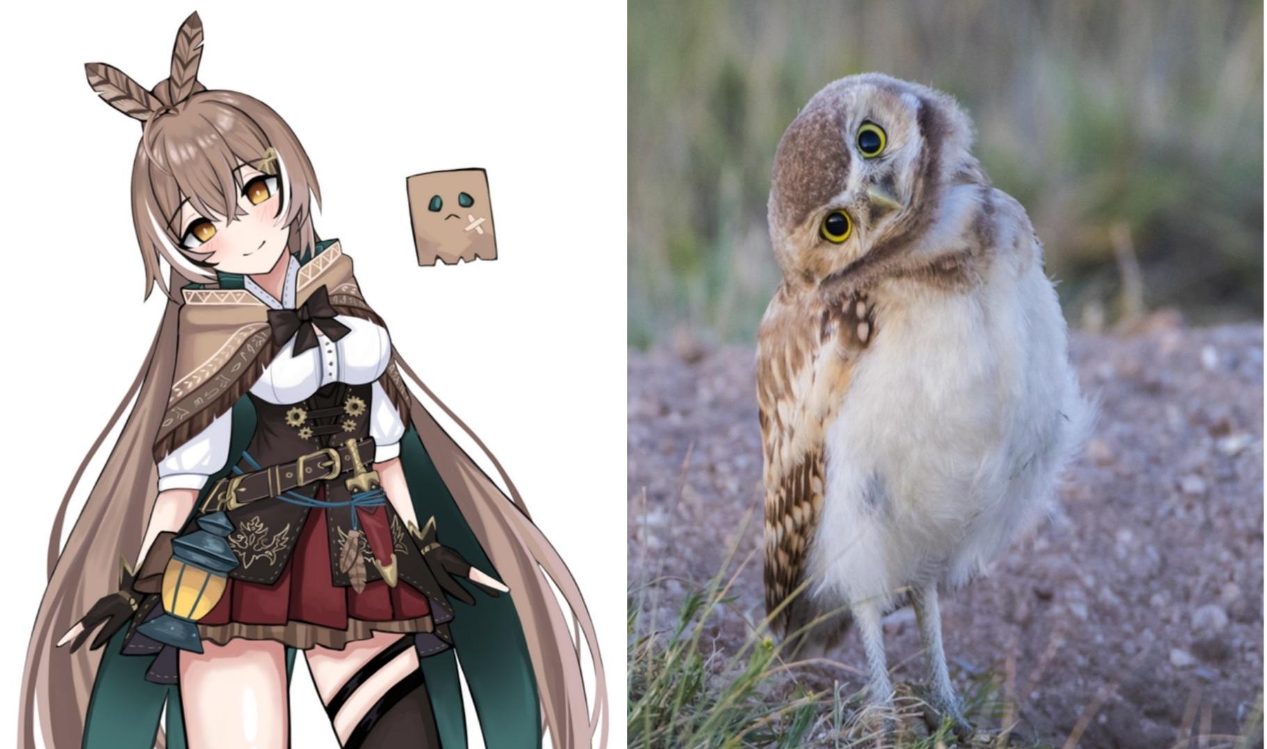 Insert funny title here | Hololive | Know Your Meme