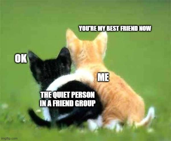 Extrovert adopting an introvert = life long friendship | /r ...