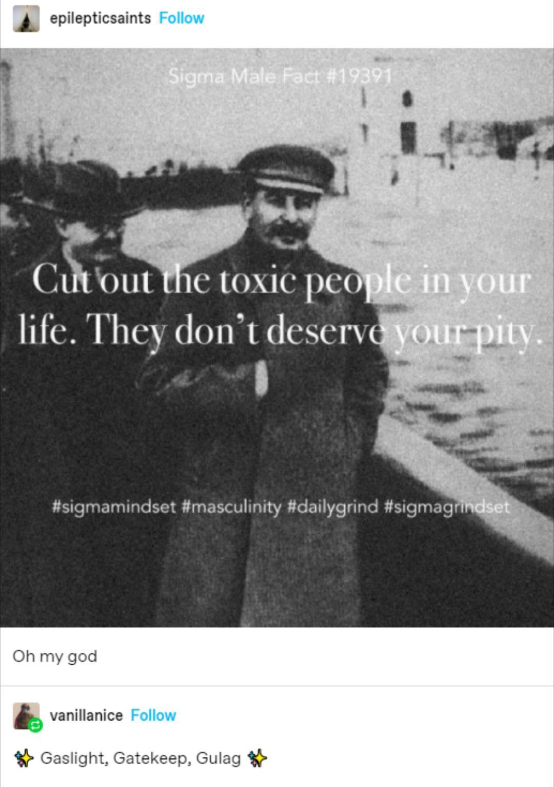 Stalin Sigma Male Fact #19391 Cut out the toxic people in your life ...