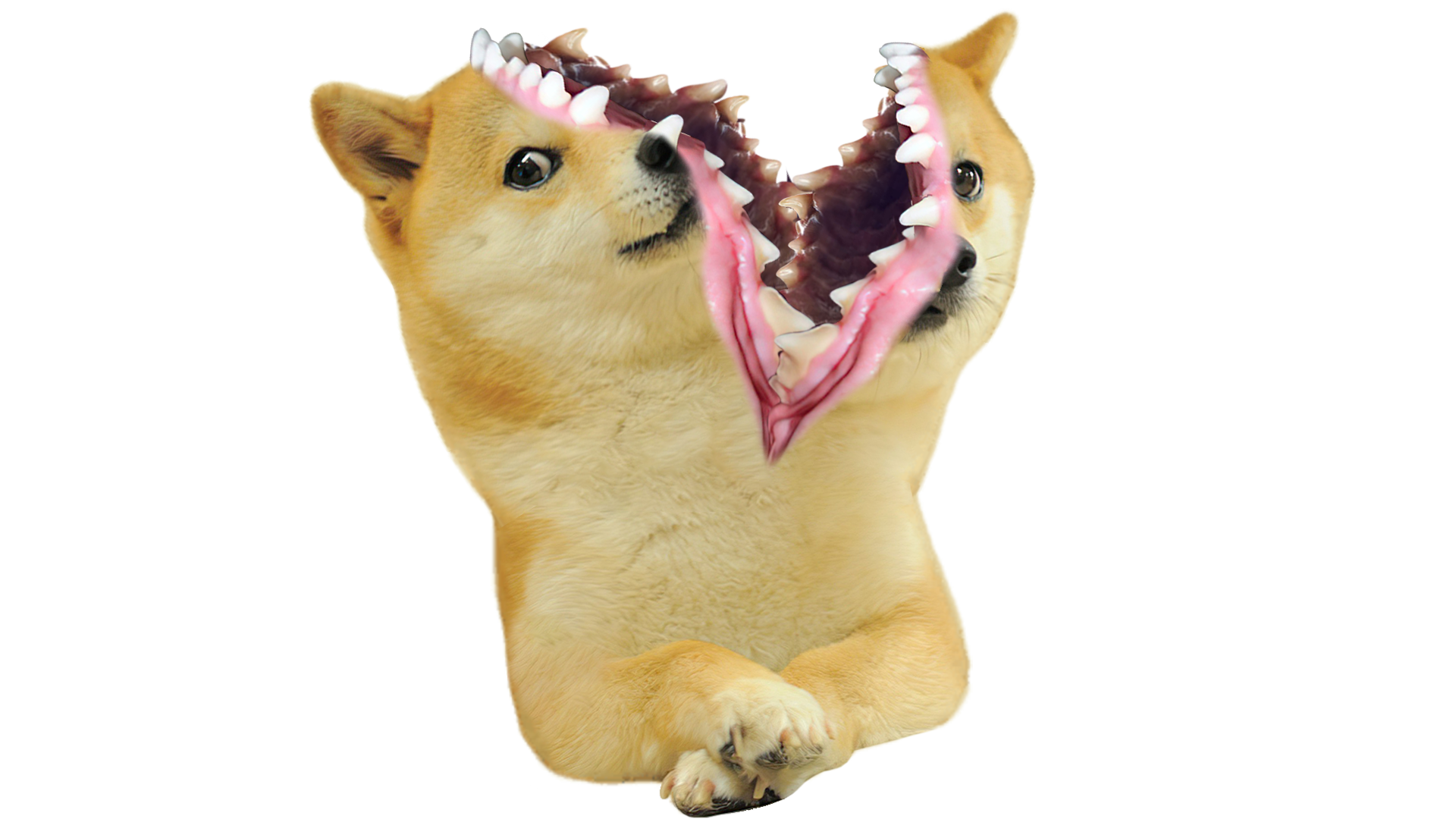 Le Resident evil dog has arrived | /r/dogelore | Ironic Doge Memes ...