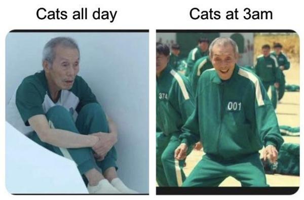 Add a title | /r/dankmemes | Oh-Il Nam Standing and Sitting | Know Your ...