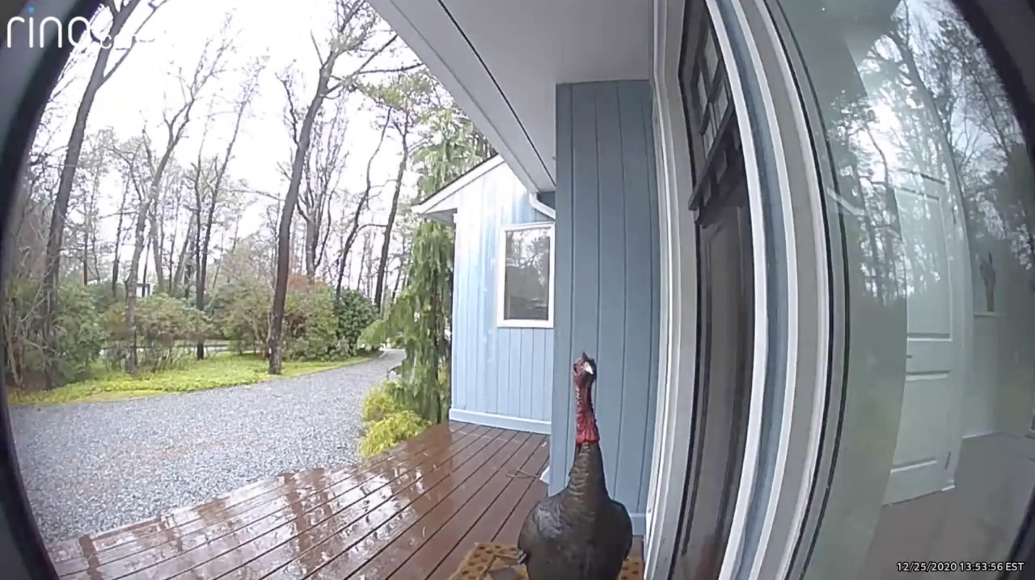 ring doorbell | Know Your Meme