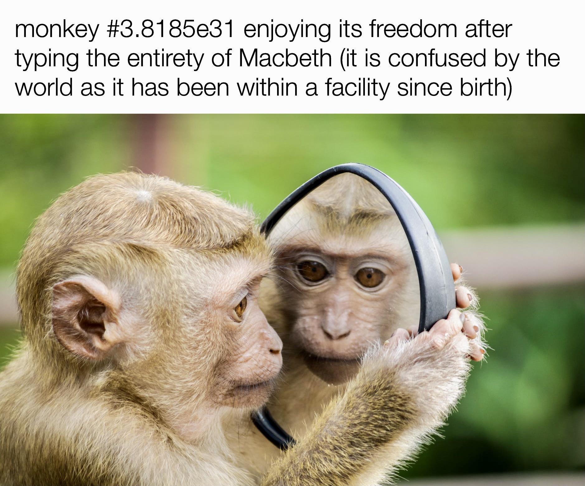 monkey time monkey time monkey time monkey time monkey time monkey time ...