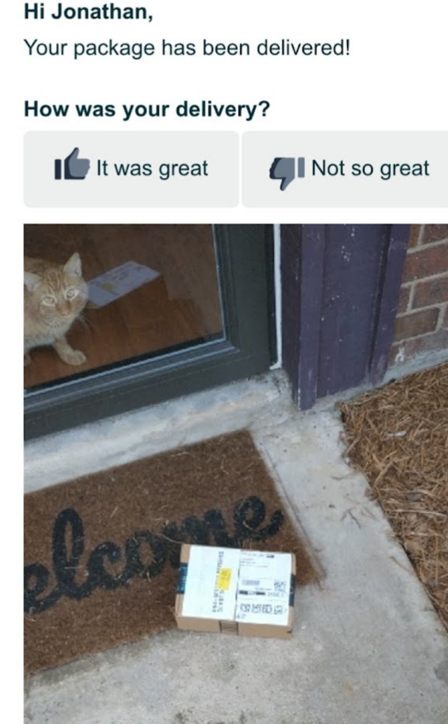 The Package Guardian | Cats | Know Your Meme