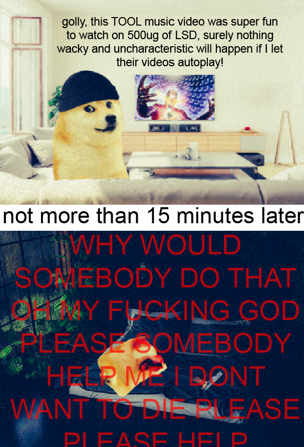 le fishhook around your jugular has arrived | /r/dogelore | Ironic Doge ...