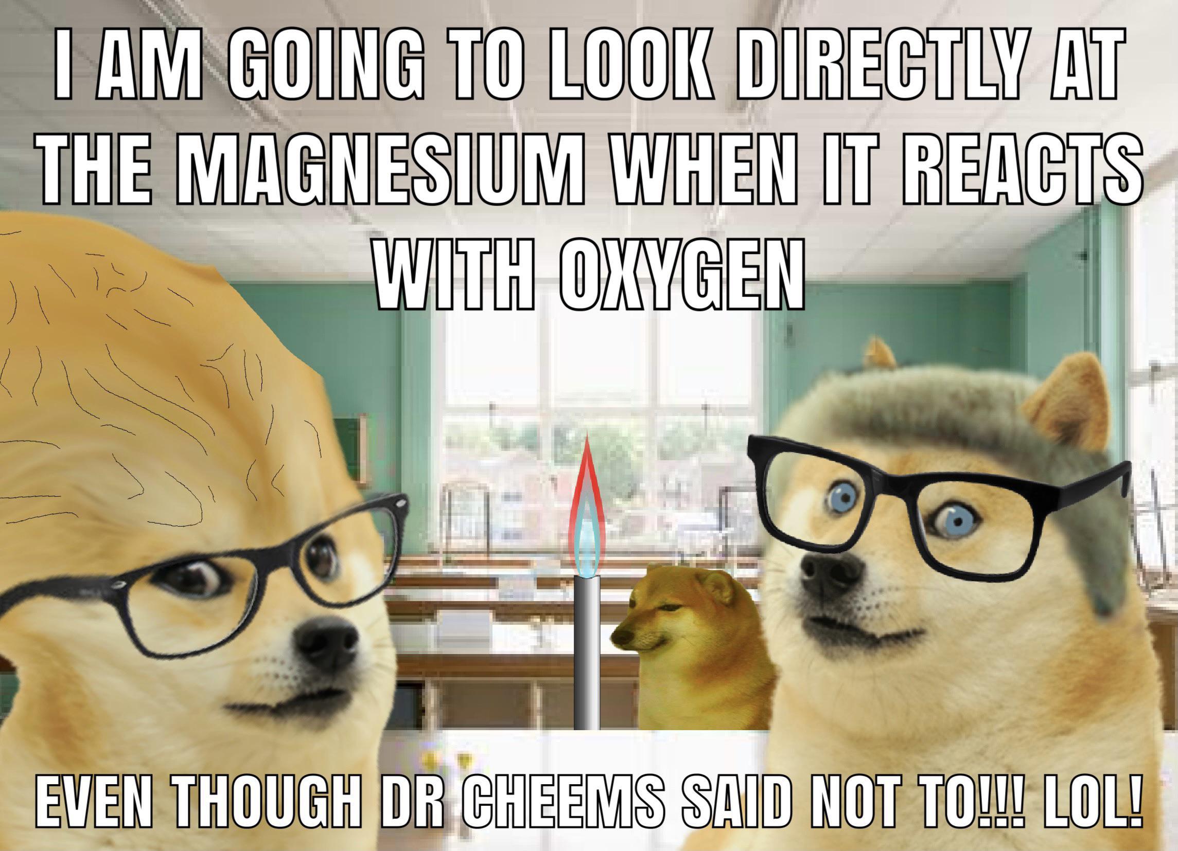 Le year 8 science has arrived | /r/dogelore | Ironic Doge Memes | Know ...