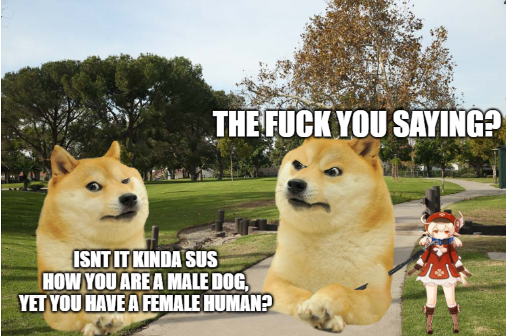 le bestiality have arrived | /r/dogelore | Ironic Doge Memes | Know ...