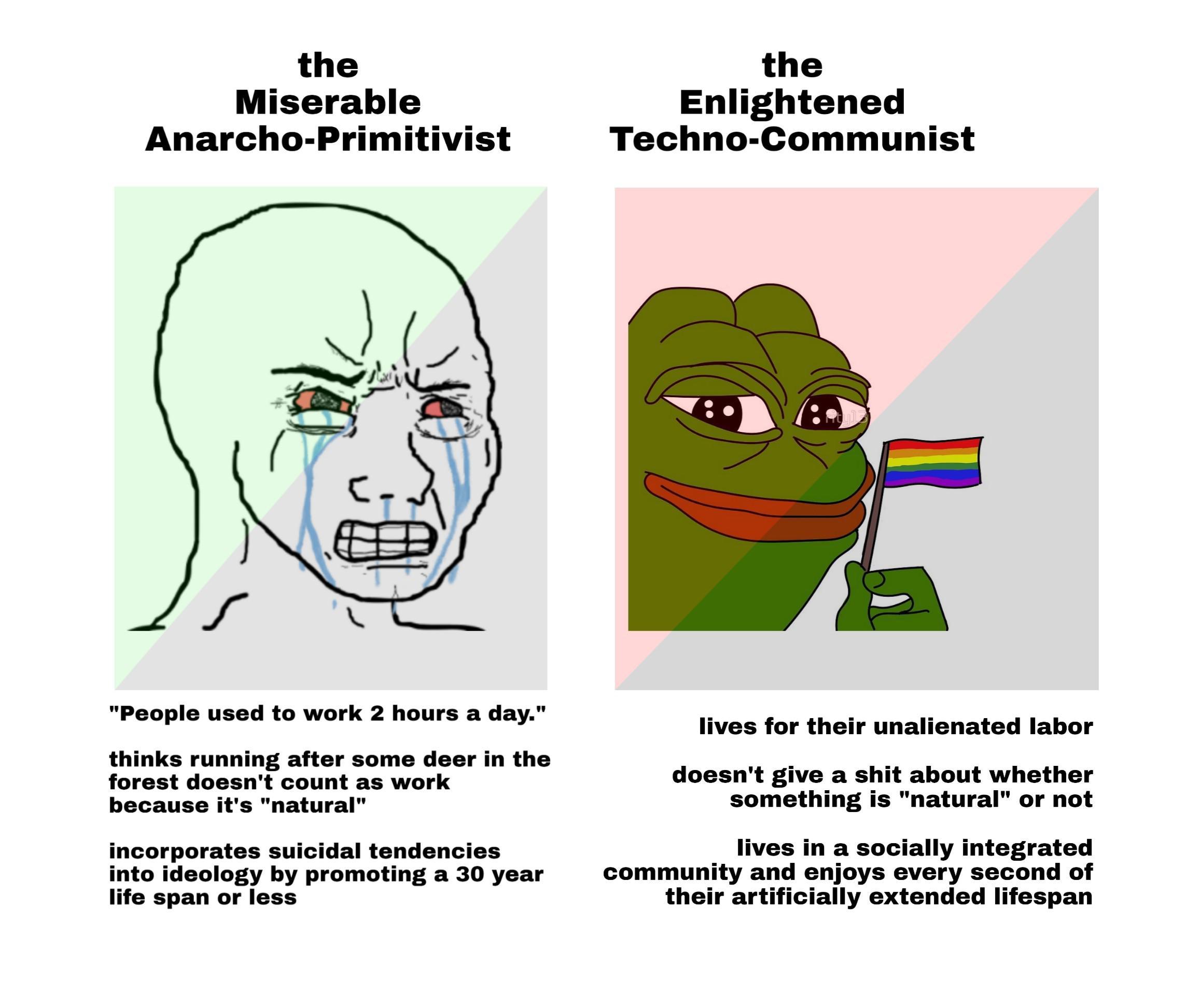 the miserable anarcho-primitivist vs the enlightened techno-communist ...