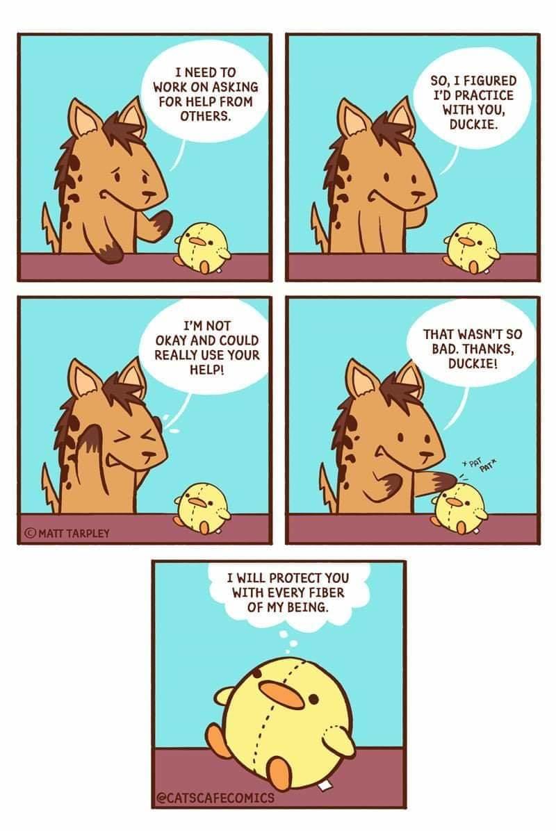 With every fibre of my polyester | /r/wholesomememes | Wholesome Memes ...