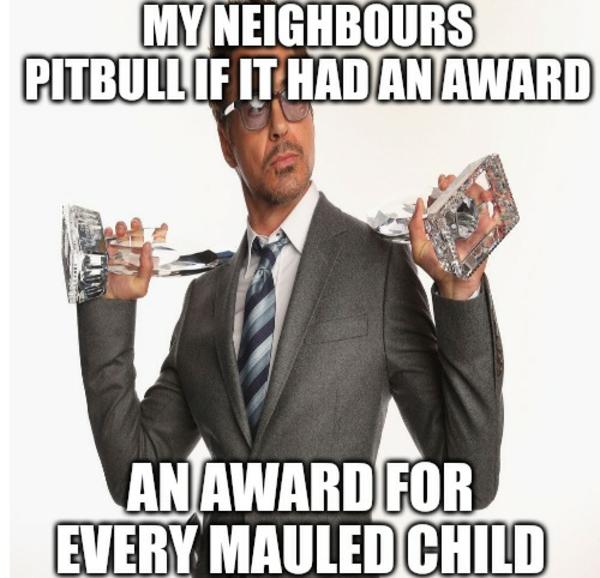 He is very talented | /r/okbuddyretard | OkBuddyRetard | Know Your Meme