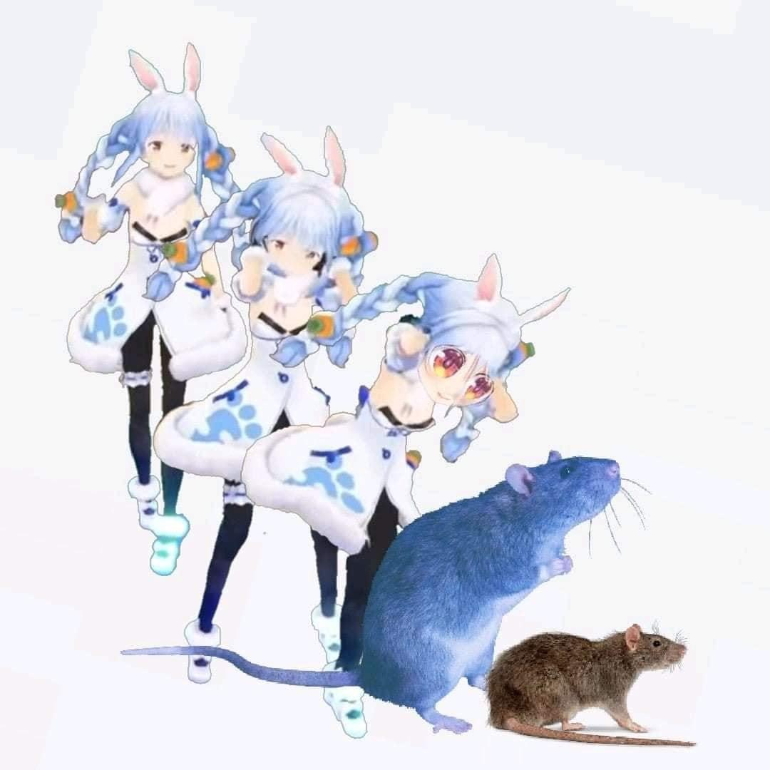 from ogey to rrat | Ogey Rrat | Know Your Meme