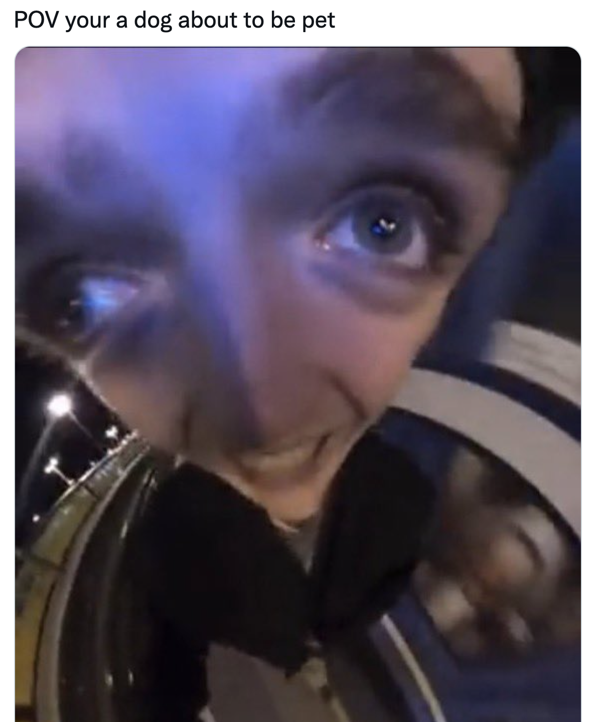 POV | Francis Bourgeois | Know Your Meme