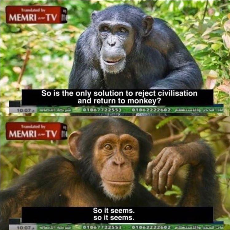 memri tv - monke anprim So is the only solution to reject civilisation and return to monkey? So ...