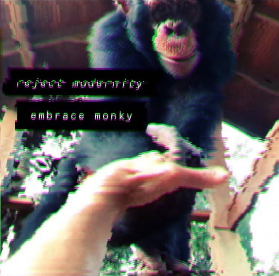 anprim - reject modernity embrace monke monkewave | Anarcho-Primitivism ...