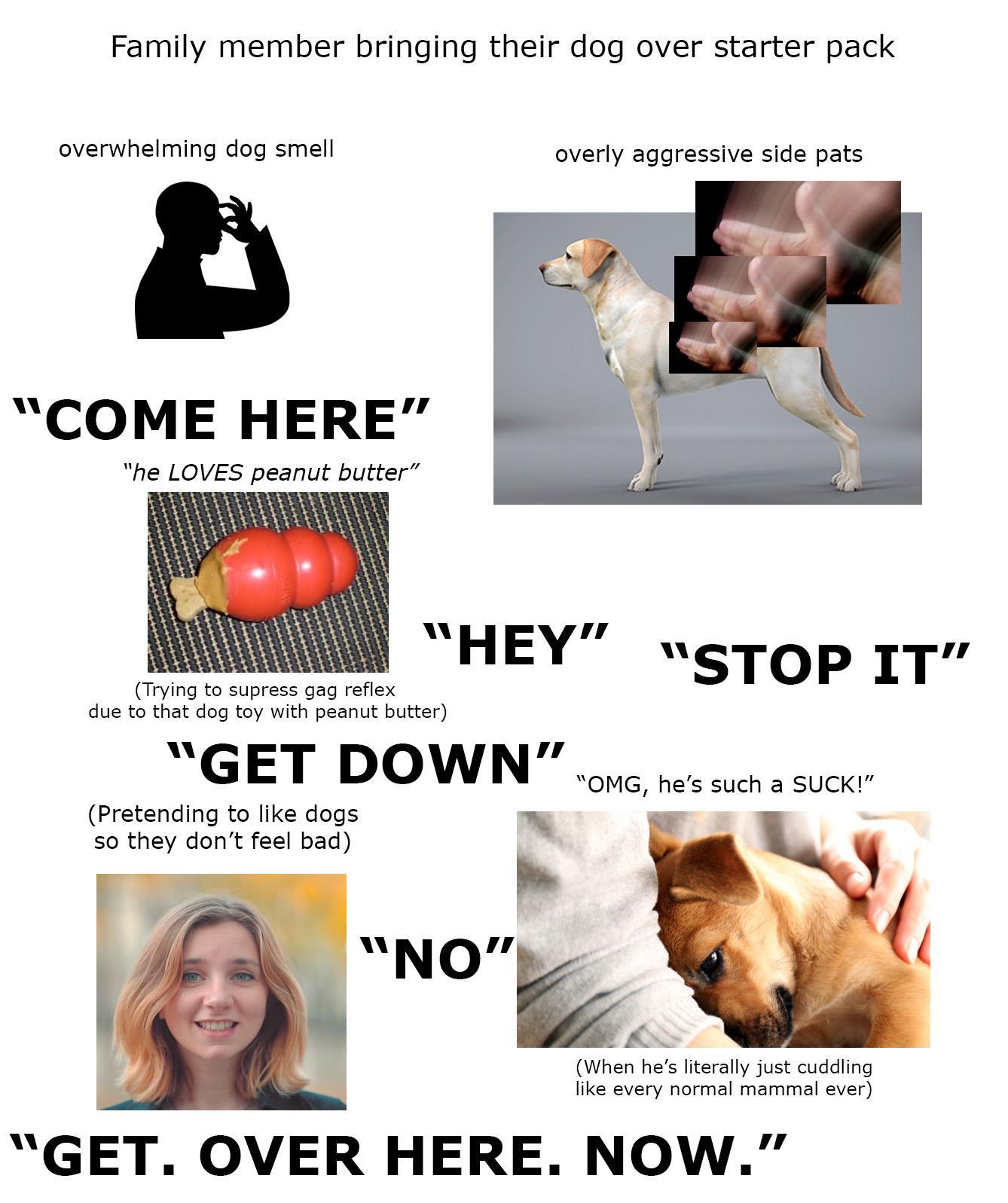Family member bringing their dog over starter pack | /r/starterpacks ...