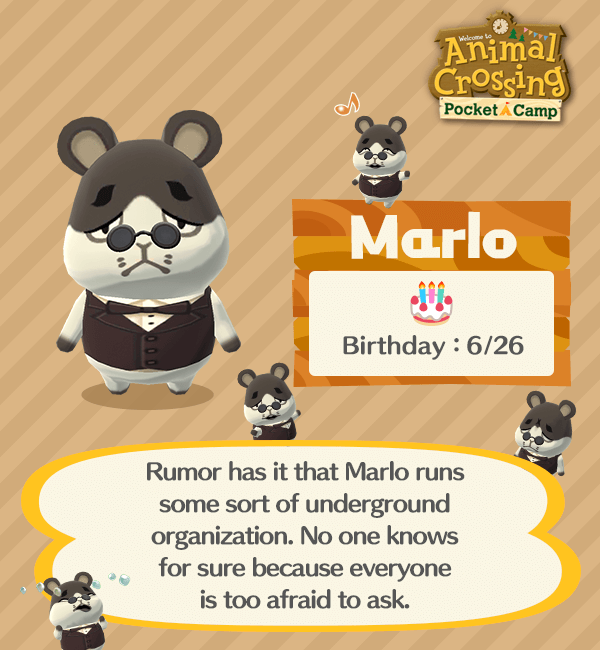 Marlo Villager Profile | Animal Crossing Pocket Camp | Know Your Meme