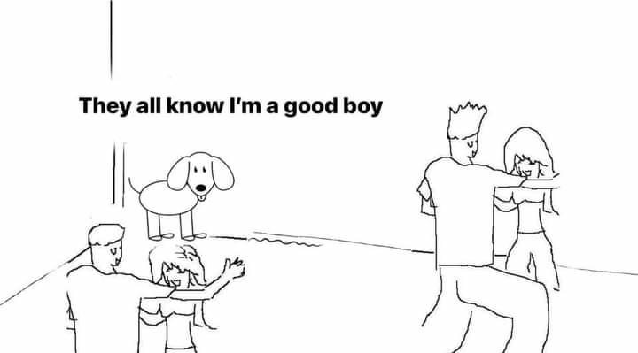 Where my good bois at?? | /r/wholesomememes | Wholesome Memes | Know ...