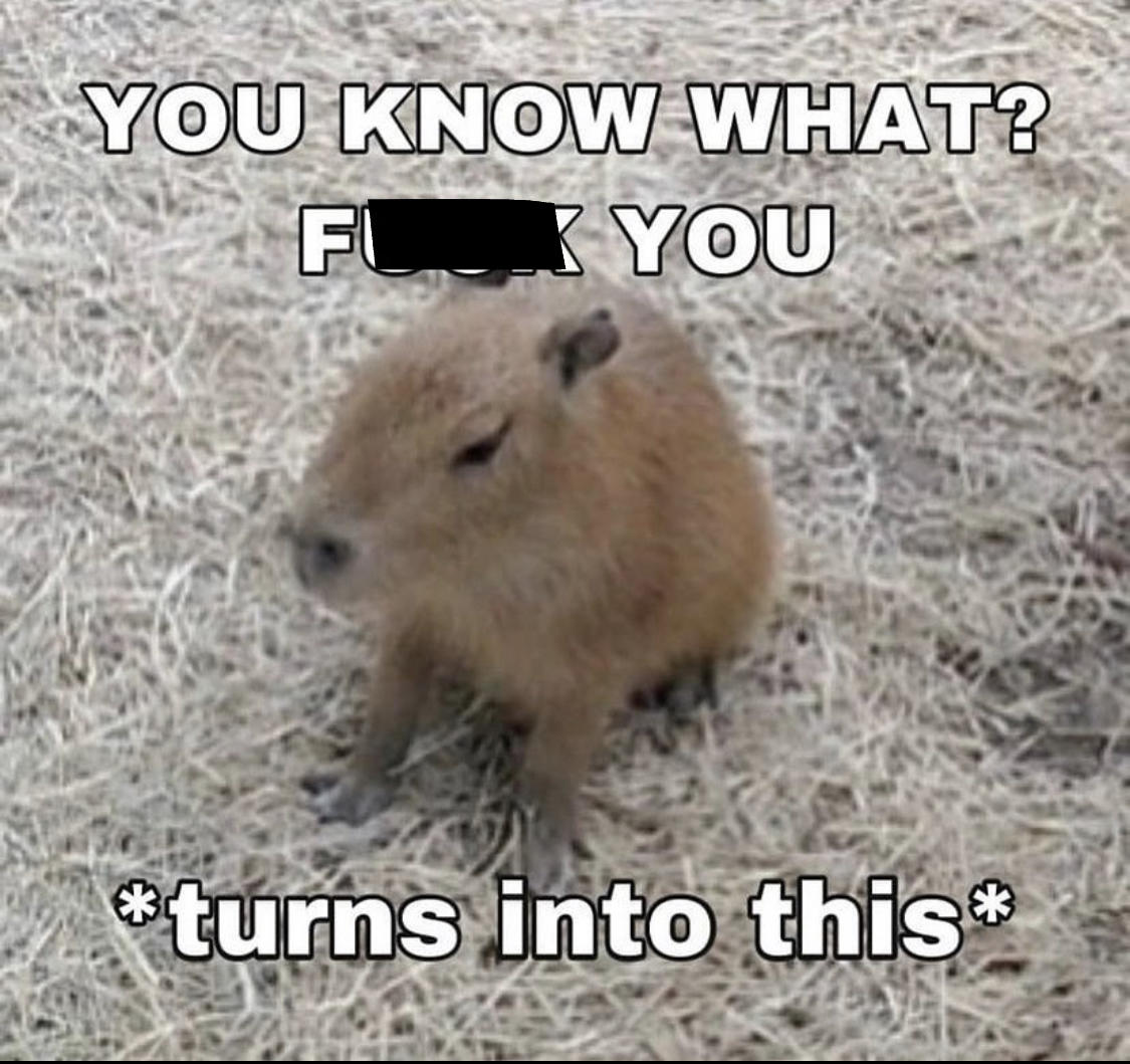 Capybaras meme | Capybaras | Know Your Meme